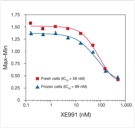 BacMam Ion Channels | Thermo Fisher Scientific - CN