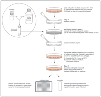 BacMam 离子通道 | Thermo Fisher Scientific - CN