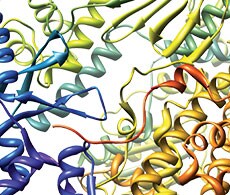 Kinase Proteins | Thermo Fisher Scientific - CN