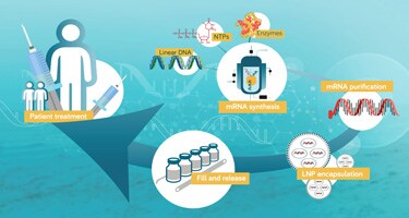 mRNA Manufacturing Process | Thermo Fisher Scientific - CN