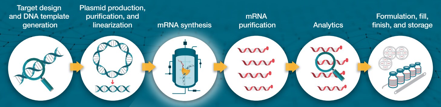 mRNA Raw Materials Considerations | Thermo Fisher Scientific - CN
