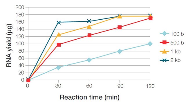 mRNA Synthesis Scale-Up Tips | Thermo Fisher Scientific - CN