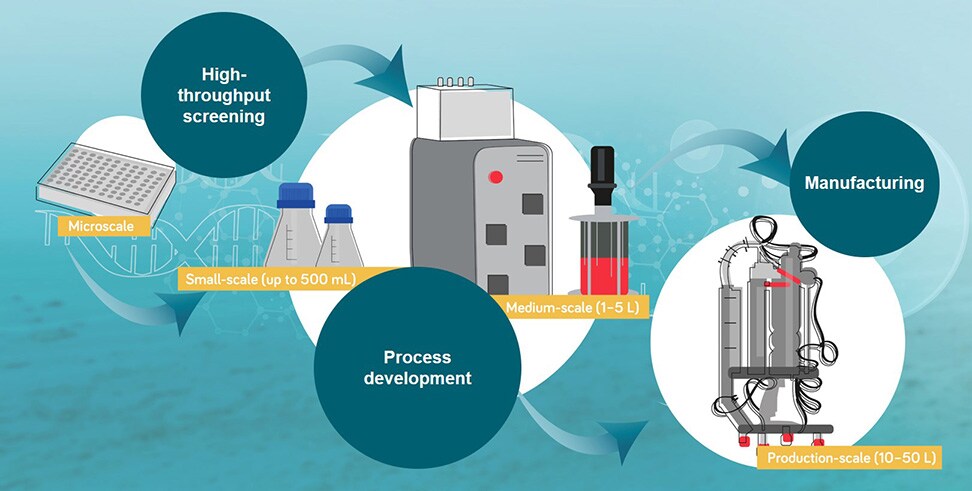 mRNA Synthesis Scale-Up Tips | Thermo Fisher Scientific - CN