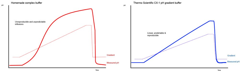 Charge Variant Analysis Information | Thermo Fisher Scientific - CN