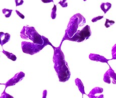 Charge Variant Analysis Information | Thermo Fisher Scientific - CN