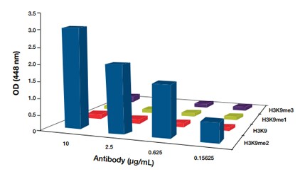 A Step-by-Step Guide to Successful Chromatin Immunoprecipitation (ChIP ...