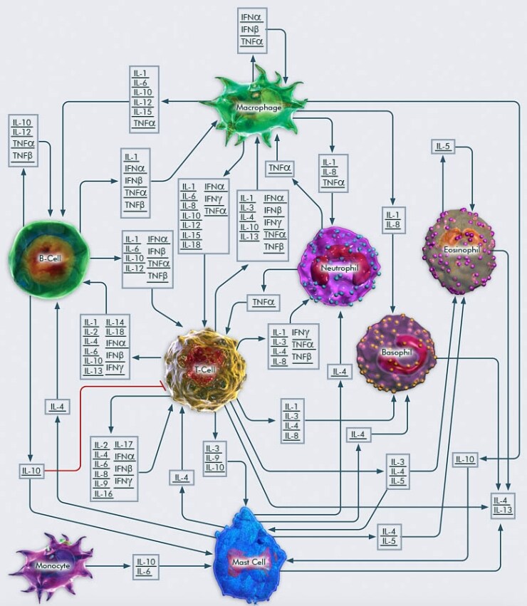 Cytokine Network | Thermo Fisher Scientific - CN