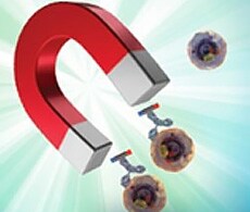 eBioscience | Thermo Fisher Scientific - CN