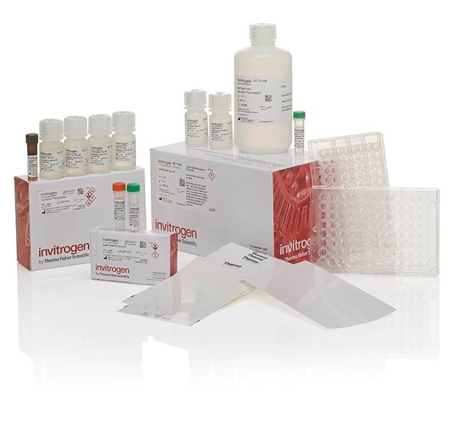 ProcartaPlex Simplex Kits | Thermo Fisher Scientific - CN