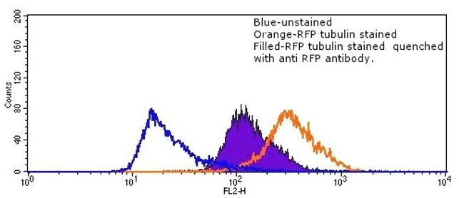 RFP抗体 | Thermo Fisher Scientific - CN