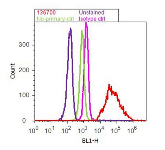 GST标签抗体 | Thermo Fisher Scientific - CN