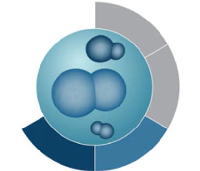 Viral Titer Determination | Thermo Fisher Scientific - CN