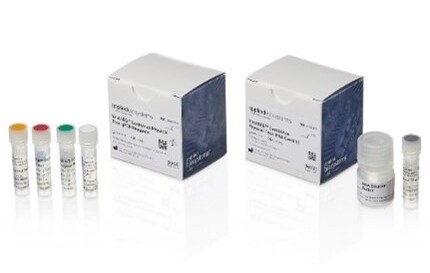 Viral Titer Determination | Thermo Fisher Scientific - CN