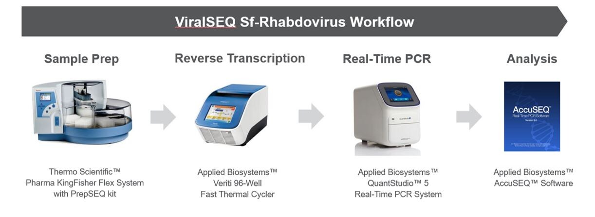 病毒检测 | Thermo Fisher Scientific - CN
