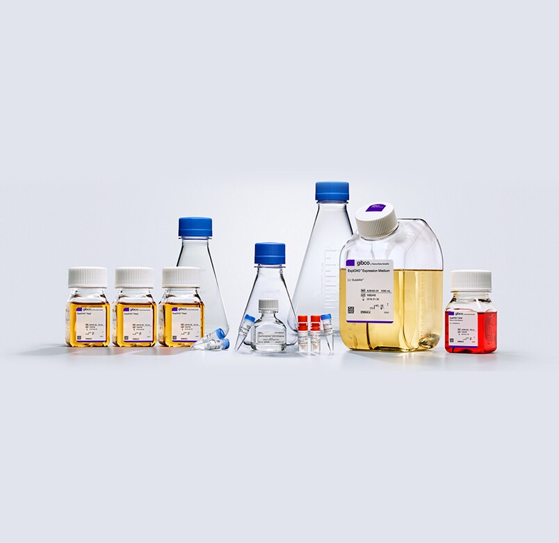 Gibco CHO 培养基 | Thermo Fisher Scientific - CN