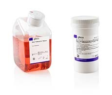 Gibco CHO 培养基 | Thermo Fisher Scientific - CN