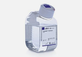Gibco Functional Additives | Thermo Fisher Scientific - CN