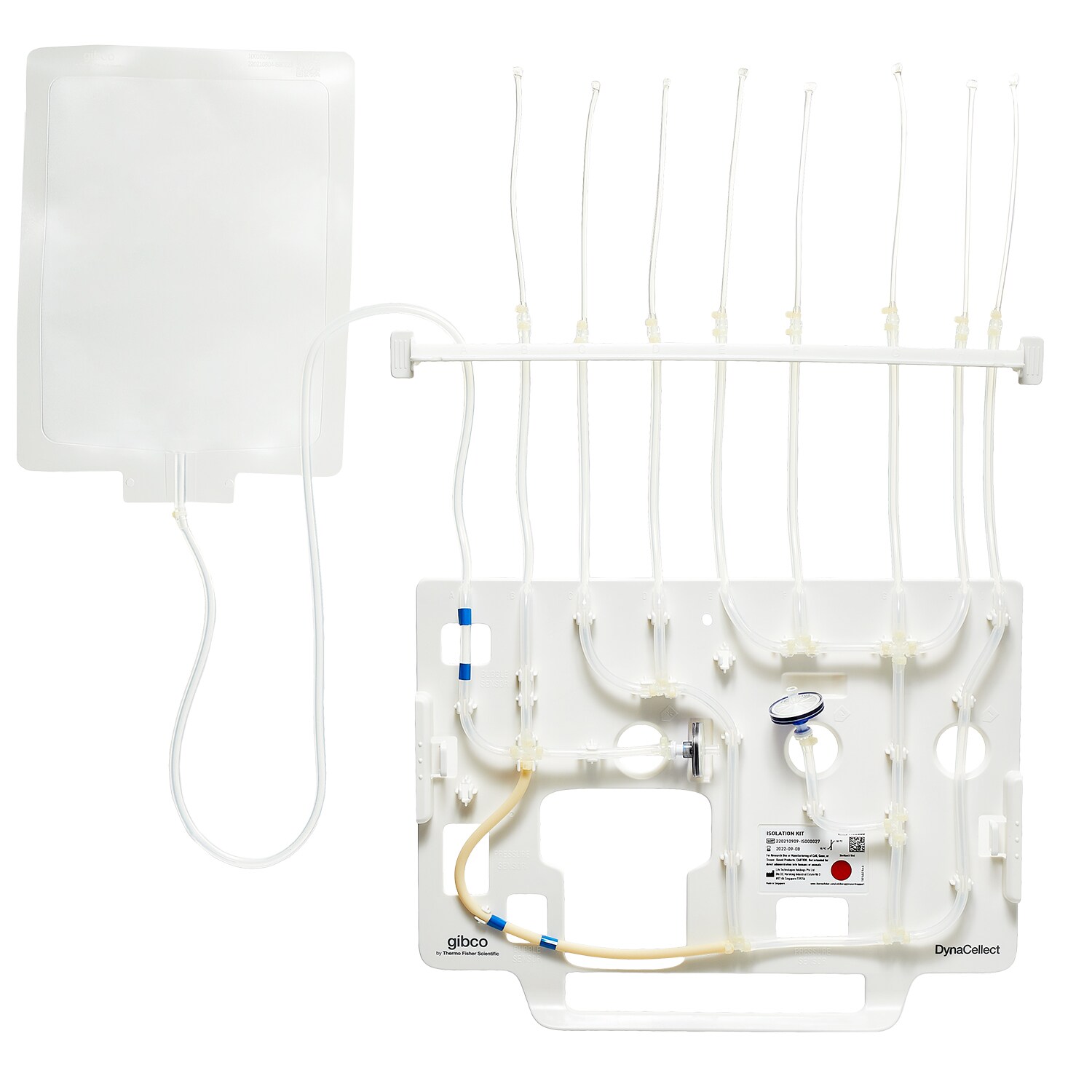 Gibco CTS DynaCellect 磁性分离系统配件 | Thermo Fisher Scientific - CN