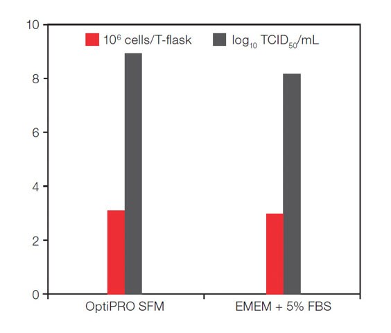 Virus Expression | Thermo Fisher Scientific - CN