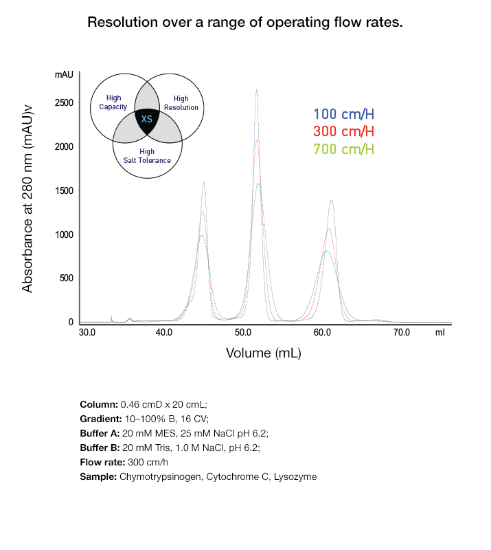阳离子交换树脂 | Thermo Fisher Scientific - CN