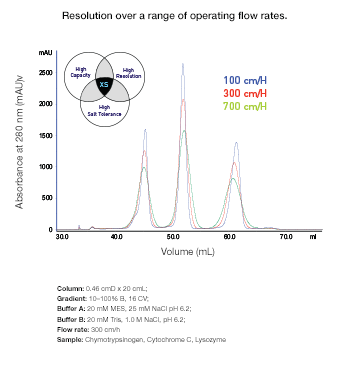 阳离子交换树脂 | Thermo Fisher Scientific - CN