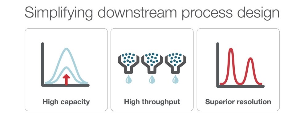 Ion Exchange Chromatography Resins | Thermo Fisher Scientific - CN