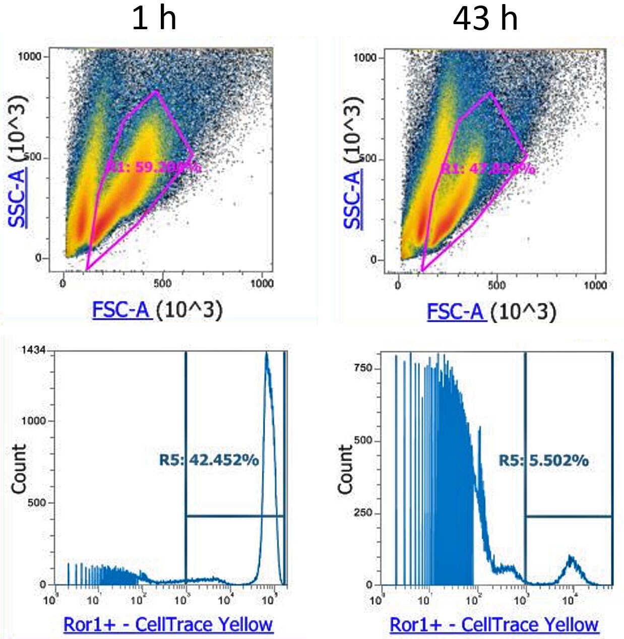 CAR T Cell and Other Adoptive Cell Therapy Workflows | Thermo Fisher ...