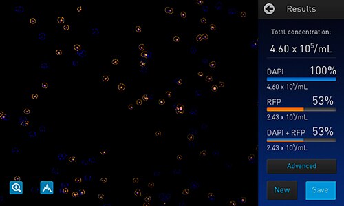 Fluorescent Viability Assays on the Countess II FL Automated Cell ...