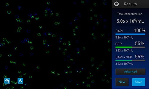 Fluorescent Viability Assays on the Countess II FL Automated Cell ...