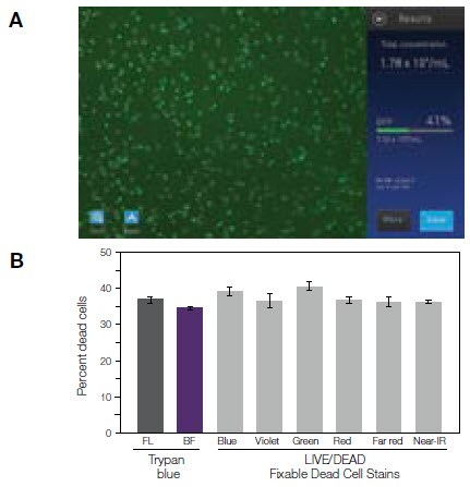 The Importance Of Accurate Cell Counting In Flow Cytometry And Cell ...