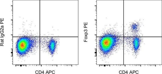Foxp3 Overview | Thermo Fisher Scientific - CN