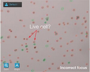 Cell Counting Information | Thermo Fisher Scientific - CN