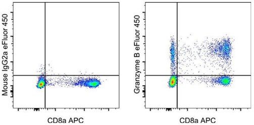 CTL细胞毒性T细胞(CD8+T细胞)是什么细胞-赛默飞 | Thermo Fisher Scientific - CN
