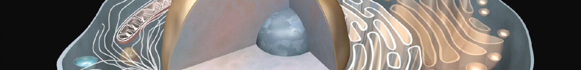 细胞分析学习中心 | Thermo Fisher Scientific - CN