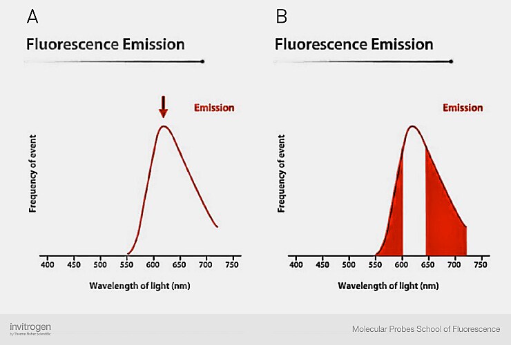 Anatomy of Fluorescence Spectra | Thermo Fisher Scientific - CN