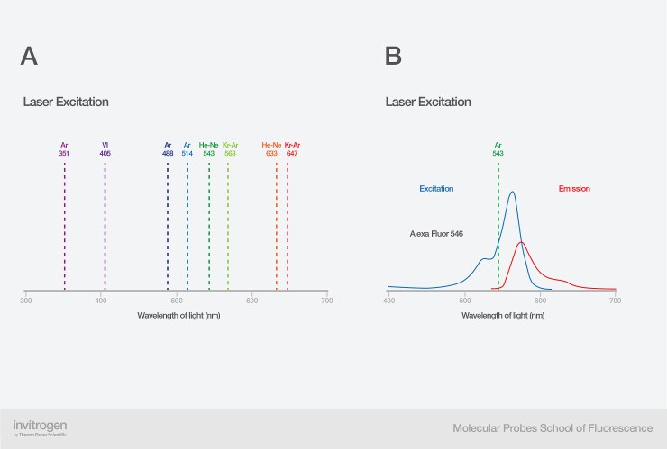 Overview of Filters and Light Sources | Thermo Fisher Scientific - CN