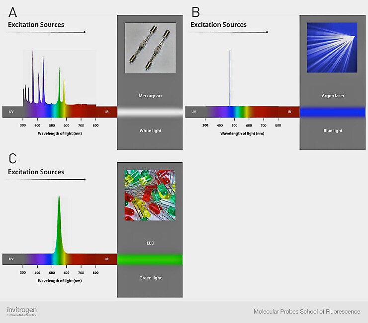 Overview of Filters and Light Sources | Thermo Fisher Scientific - CN