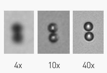 Epifluorescence Microscope Basics | Thermo Fisher Scientific - CN