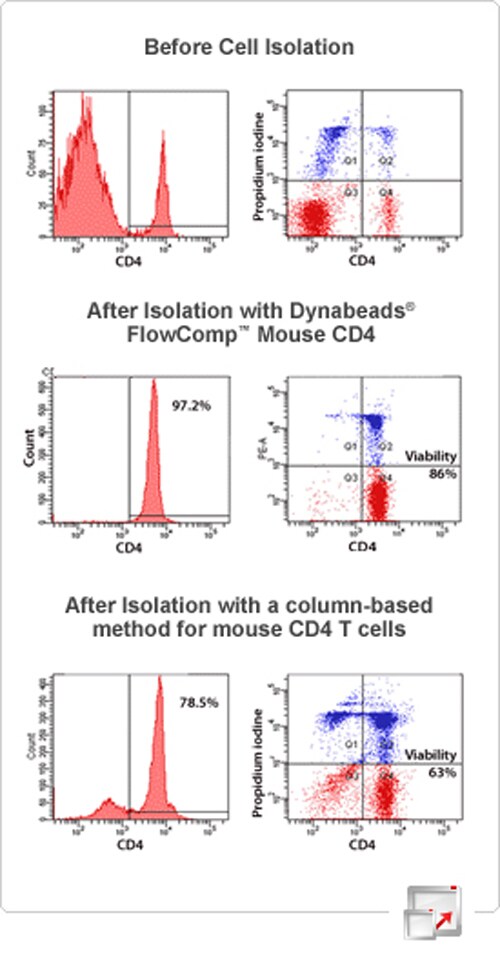 Dynabeads FlowComp CD4 和 CD8 阳性细胞分离试剂盒 | Thermo Fisher Scientific - CN
