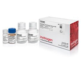 Dynabeads FlowComp CD4 and CD8 Positive Isolation Kits | Thermo Fisher ...