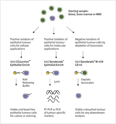 Tumor Cell Isolation | Thermo Fisher Scientific - CN