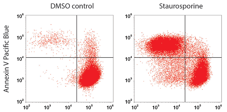 Mitochondria Function Assays | Thermo Fisher Scientific - CN