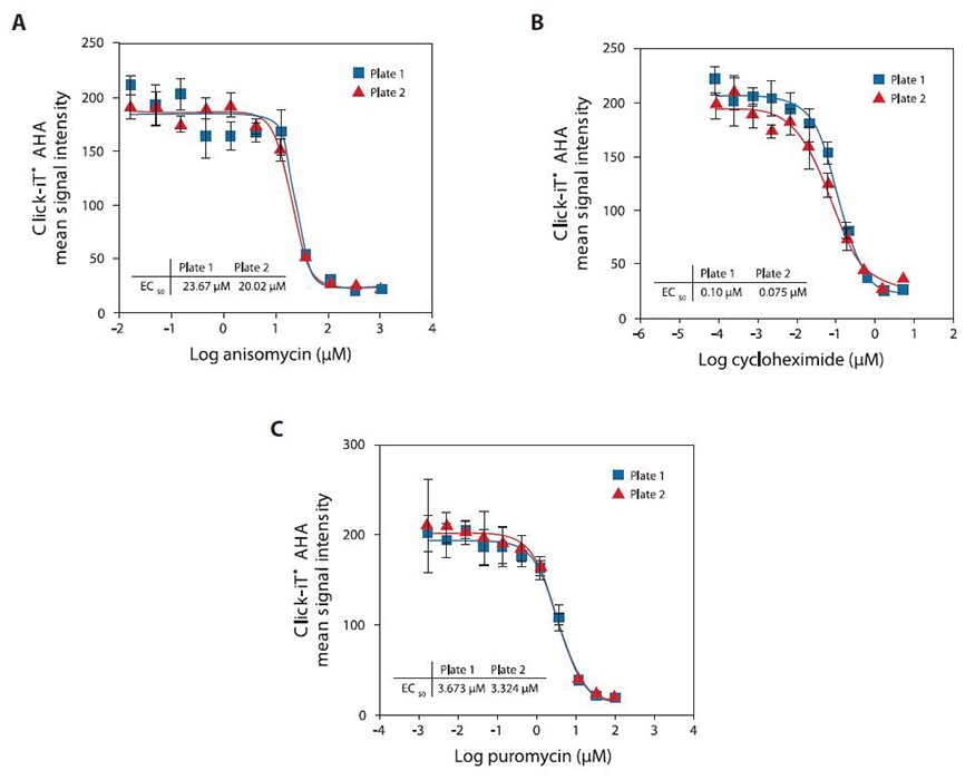 Protein Synthesis Assays | Thermo Fisher Scientific - CN