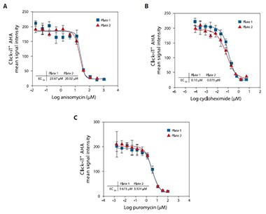 Protein Synthesis Assays | Thermo Fisher Scientific - CN