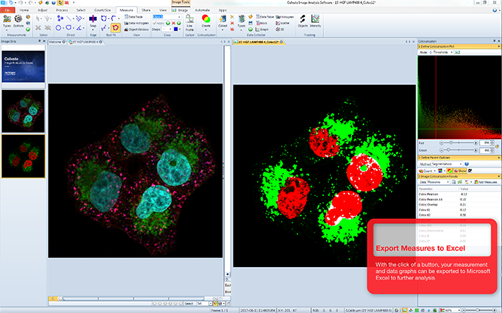 Celleste Image Analysis Software | Thermo Fisher Scientific - CN