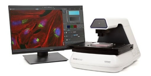 Celleste Image Analysis Software | Thermo Fisher Scientific - CN