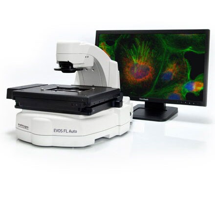 EVOS FL全自动细胞成像系统 | Thermo Fisher Scientific - CN