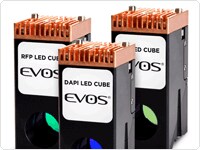 EVOS专利LED 光立方 | Thermo Fisher Scientific - CN