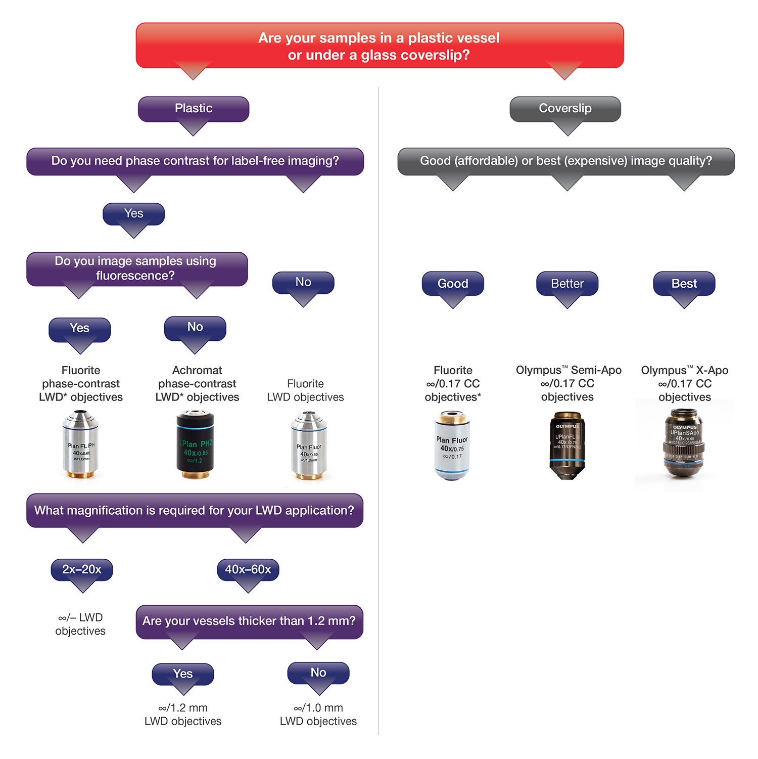 Selection Guide for EVOS Objectives | Thermo Fisher Scientific - CN