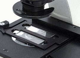 EVOS Vessel Holders and Stage Plates | Thermo Fisher Scientific - CN